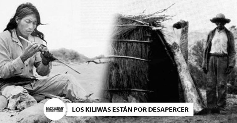 Fueron los únicos en Baja California que resistieron ser sometidos.